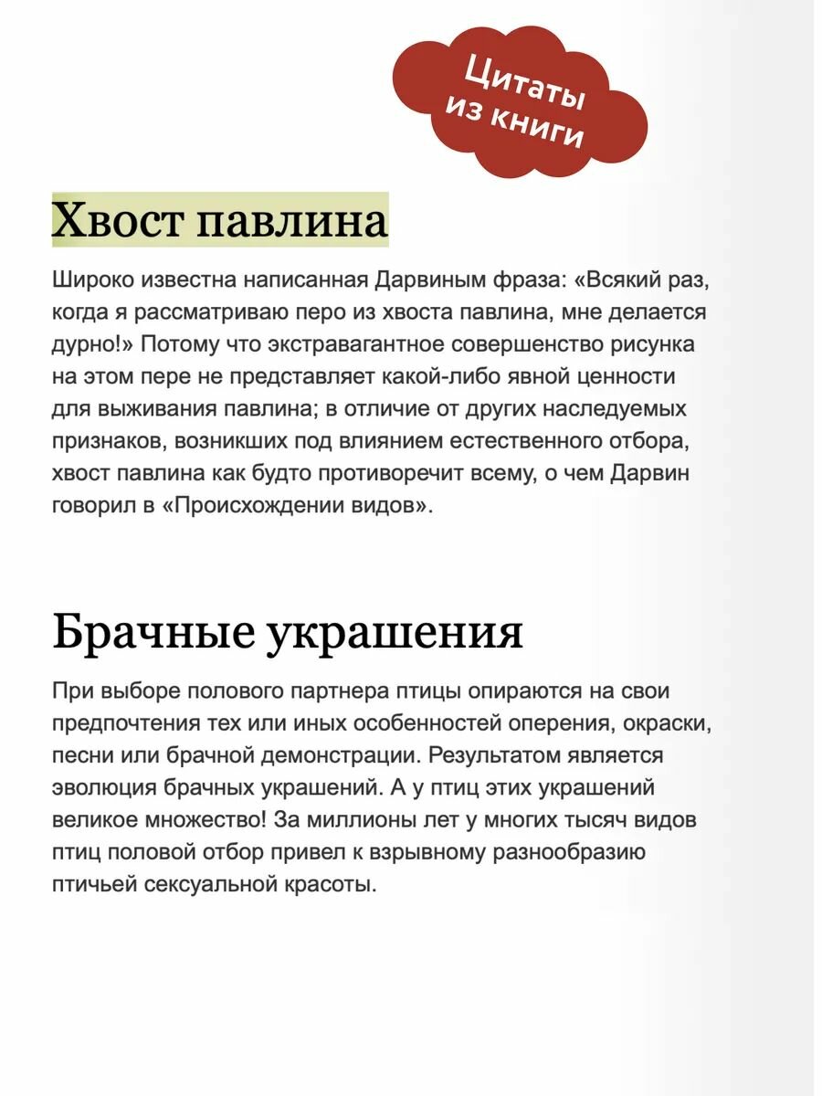 Эволюция красоты — фото 1