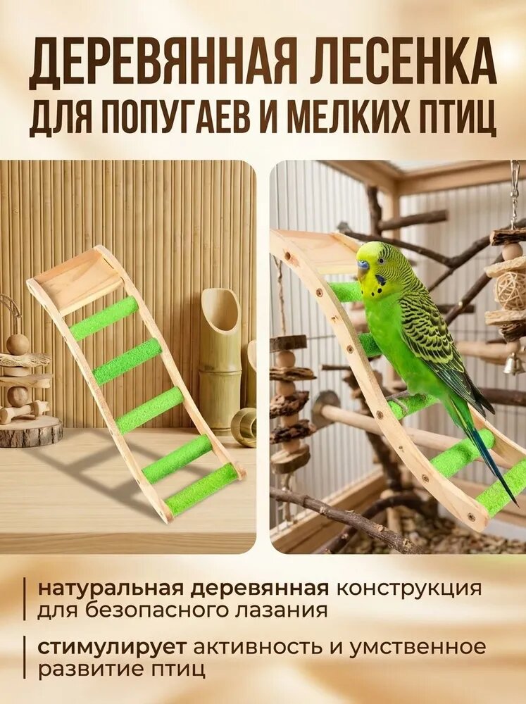 Лестница для попугаев для домашнего использования для игр питомца для дрессировки