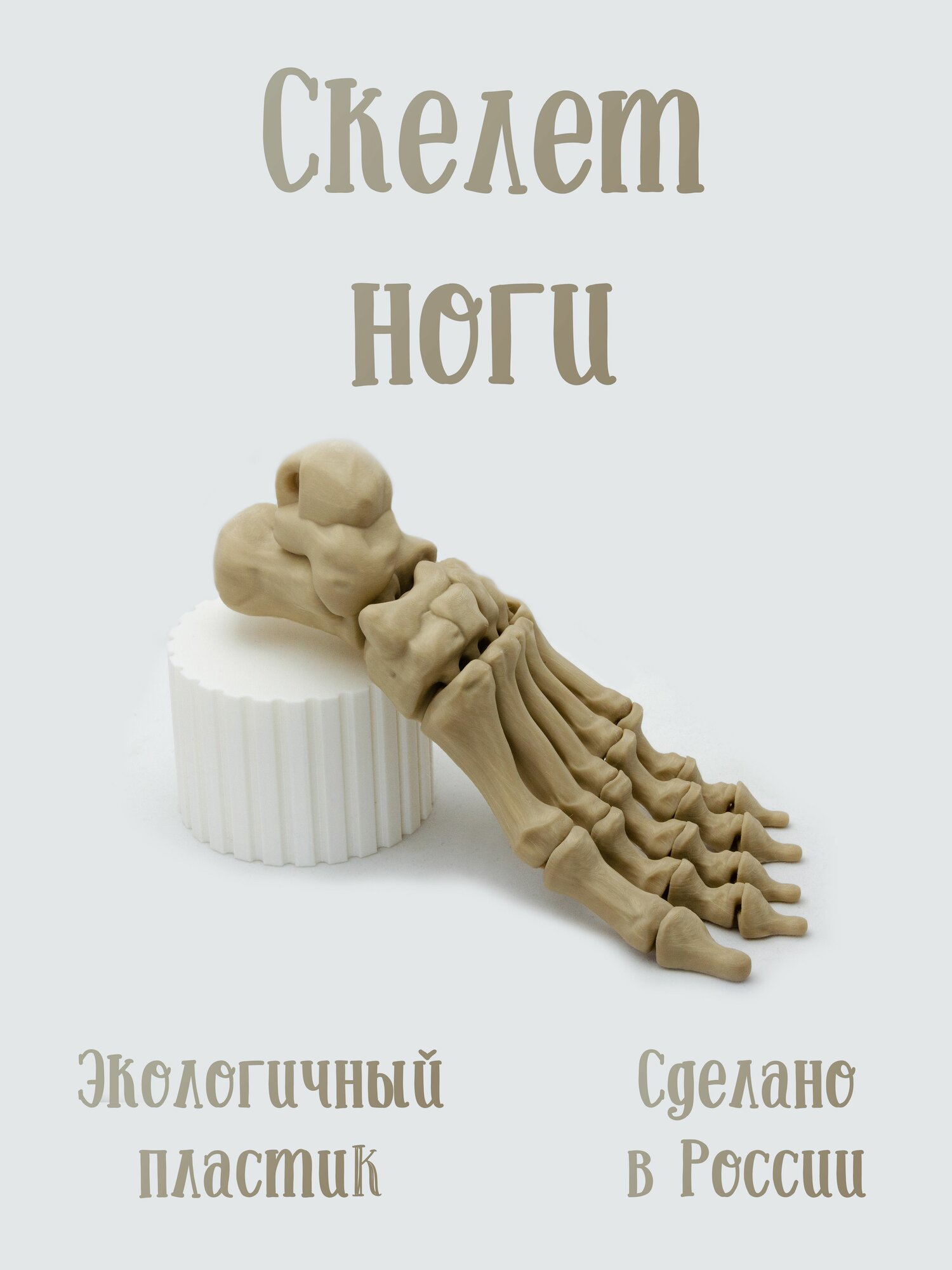 Скелет левой ноги человека 3D слоновая кость, подвижный, декоративный