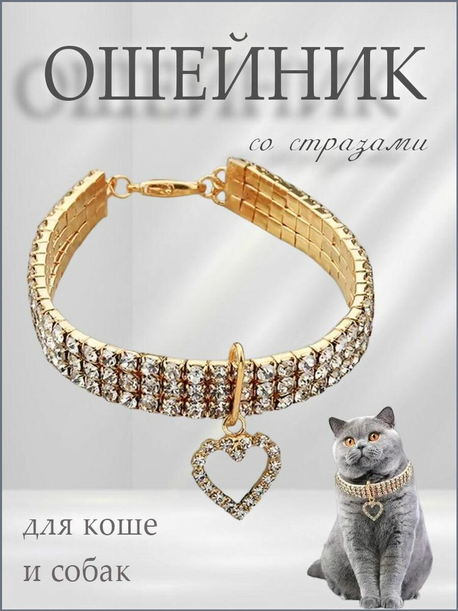 Ошейник для кошек и собак