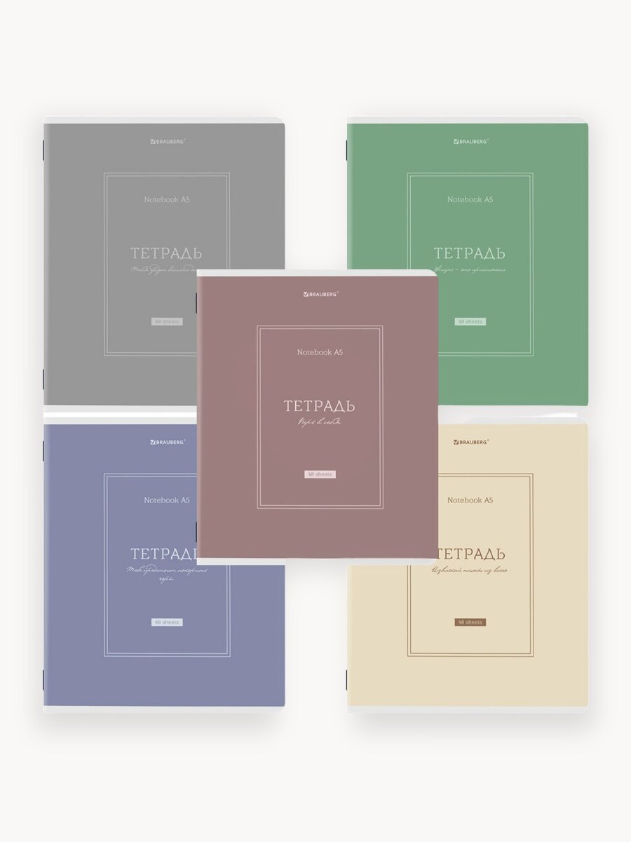 Тетрадь А5 в клетку 48 листов для записей в школу и офис, набор 5 штук, матовая обложка, Brauberg Classic, 404920