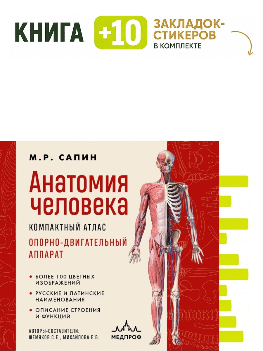 Анатомия человека. Компактный атлас. Опорно-двигательный аппарат. Комплект: книга + 10 закладок-стикеров