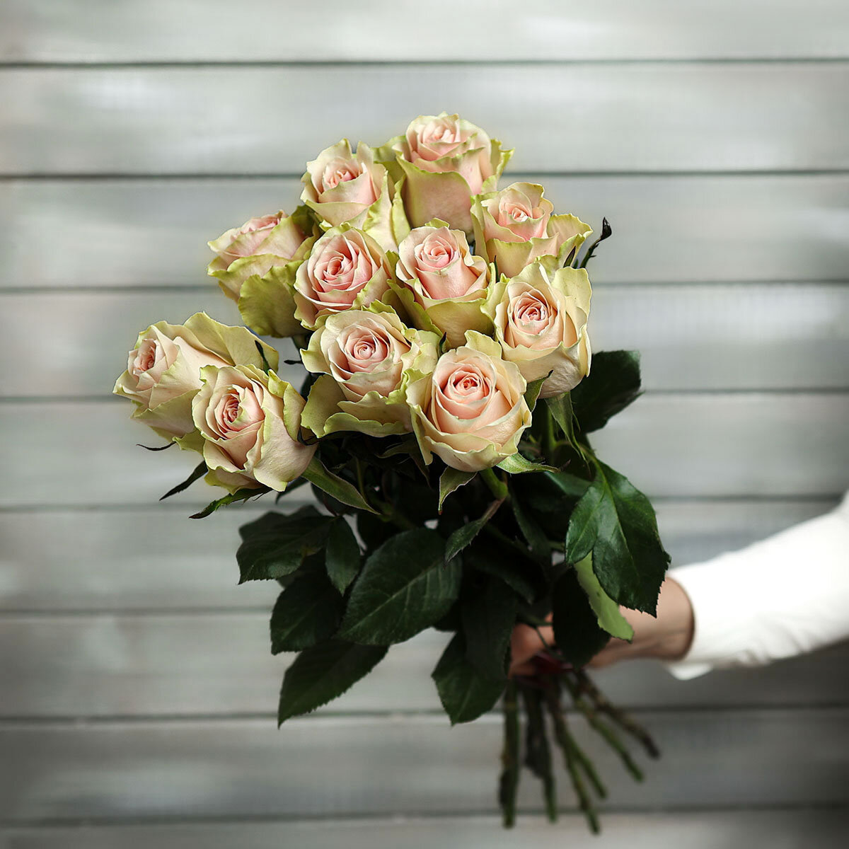 11 нежно-розовых роз, Эквадор, высота 50 см, от Букет Маркет