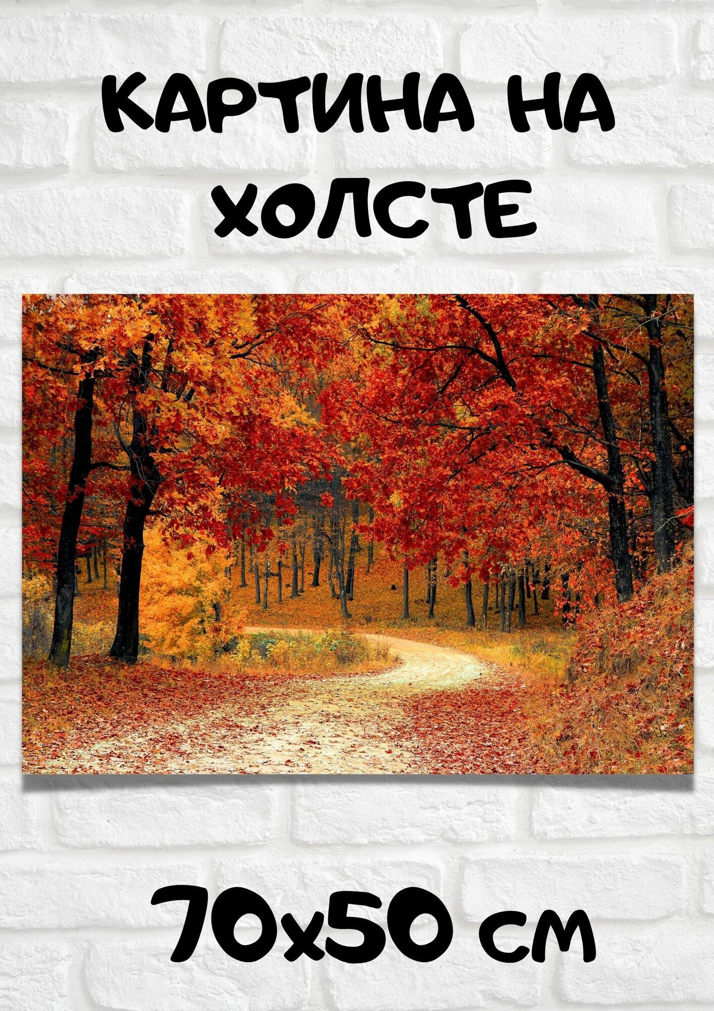 Картина с грунтовой, песчаной одинокой дорогой среди природы / Интерьерная картина Road