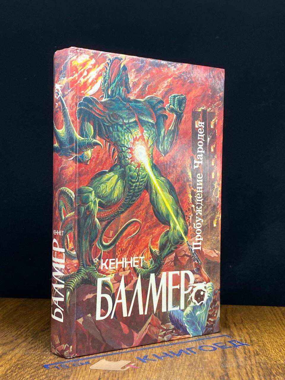 Книга. Пробуждение Чародея 1994 (2043777369770)