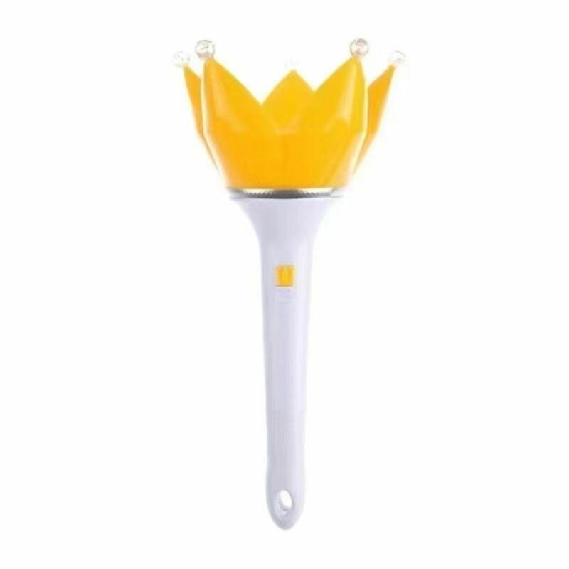 Концерт поклонников support light support stick