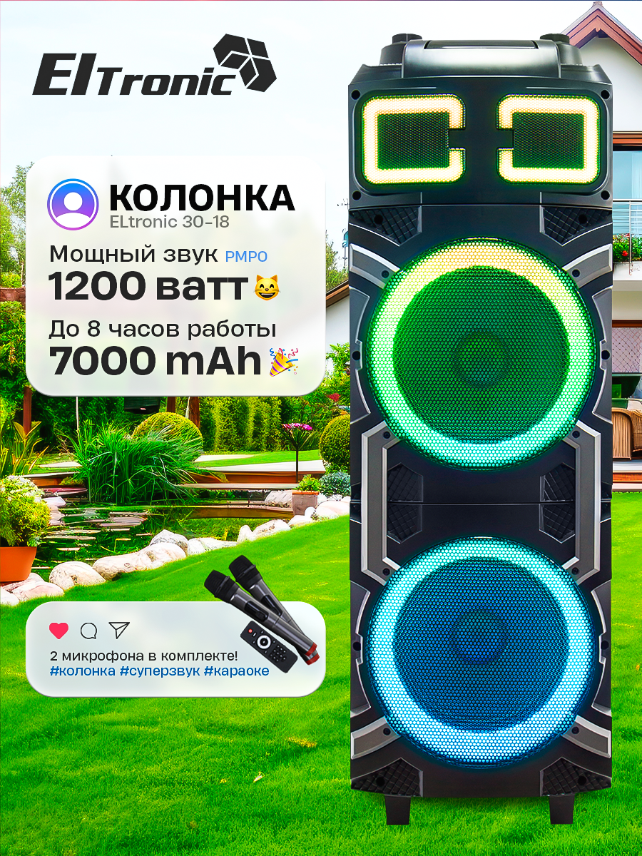 Колонка беспроводная ELtronic 30-18 с 2мя микрофонами, FM-радио и функцией TWS