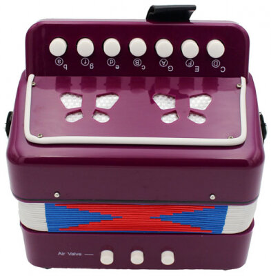 Гармошка Future Star FF-7K-PL сливовый