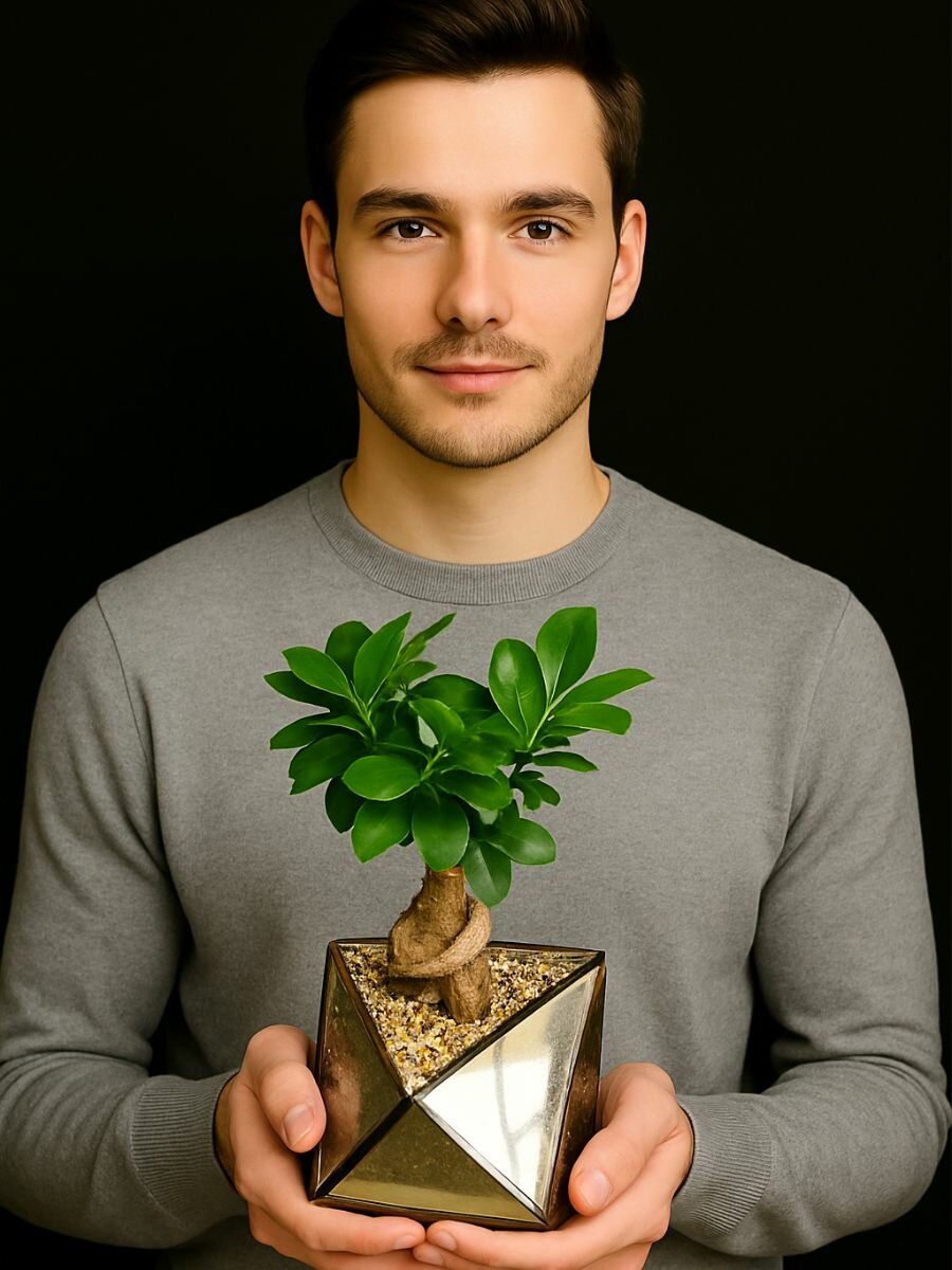 Флорариум с растениями готовый "Октаэдр" Бонсай Фикус