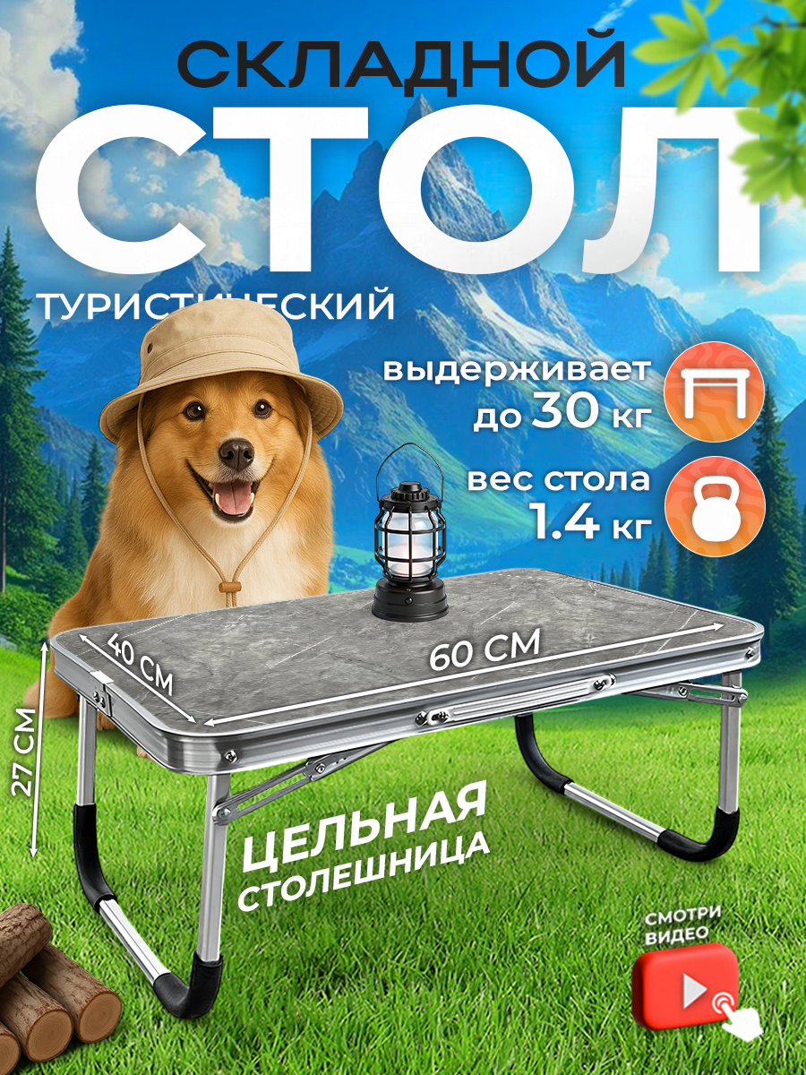 Стол туристический складной 60х40х27 без стульев для пикника