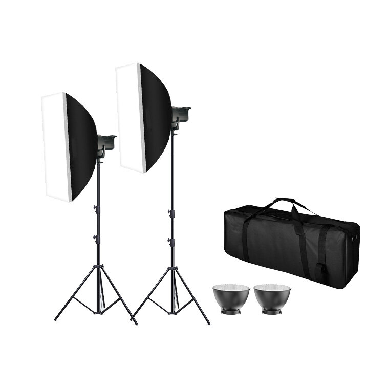 Комплект постоянного света Falcon Eyes KeyLight III 2200D SB KIT светодиодный (Bowens, 2*200Вт)