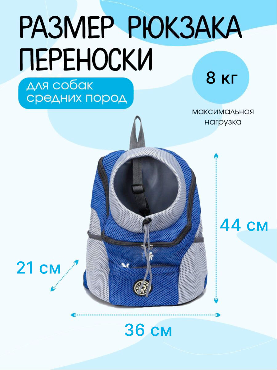 Рюкзак переноска для собак и кошек, синий цвет, размер М, до 8 кг