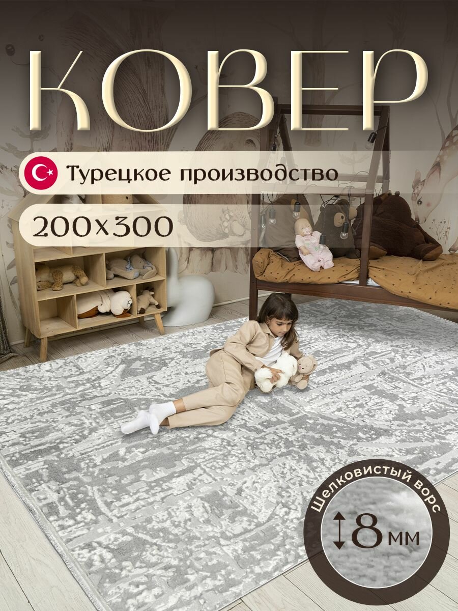 Ковер для комнаты на пол 200х300 см BARKS