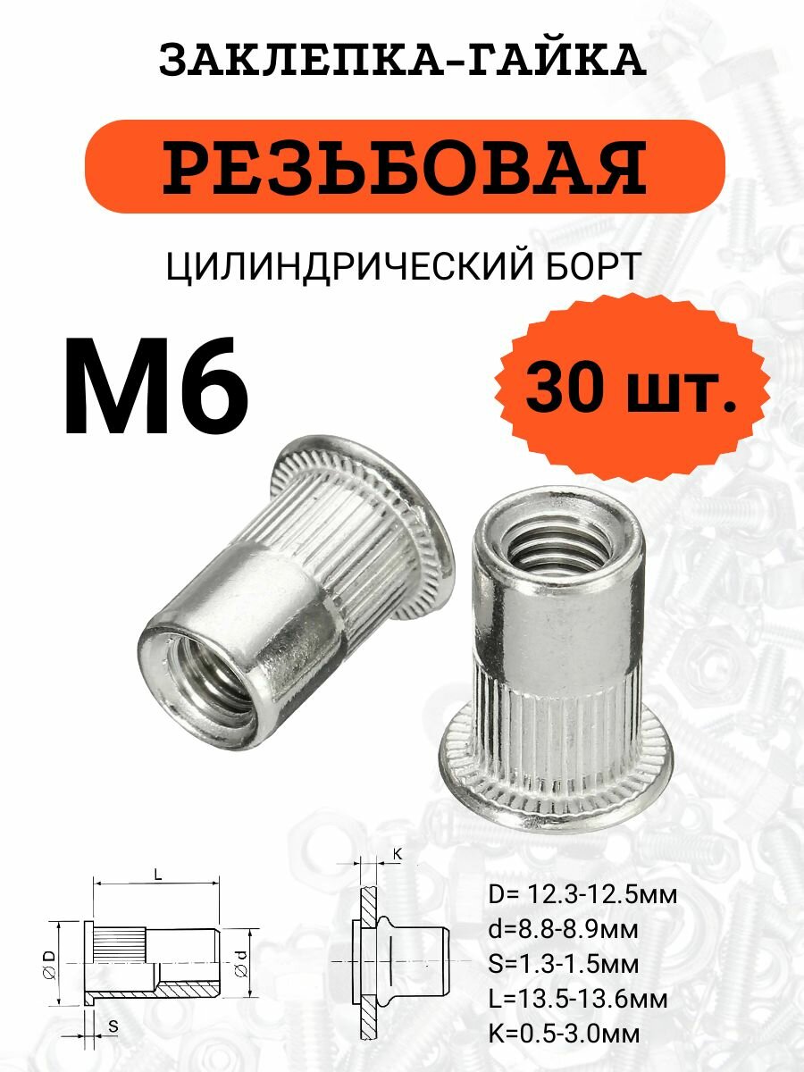 Заклепка резьбовая (Заклепка-гайка) М6 с цилиндрическим бортиком, цинк, 30 шт.