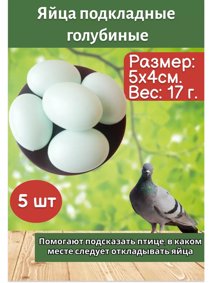Комплект подкладных яиц Ветспектрум, для стимуляции размножения голубей, 5 шт.