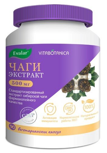 Витаботаника чага