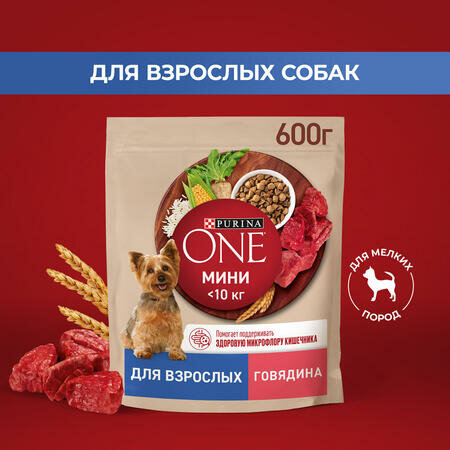Purina ONE мини 3 кг сухой корм для собак, для мелких и карликовых пород при активном образе жизни, с говядиной и рисом