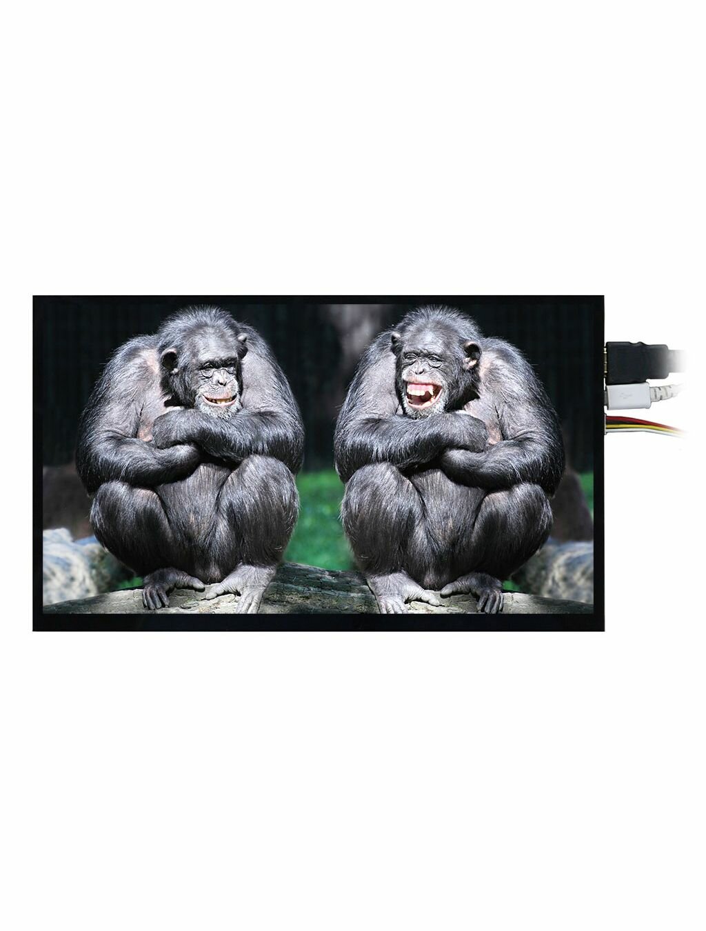 WKS116FHD001-WCT Сенсорный дисплей IPS TFT 11.6" HDMI-USB-AUX