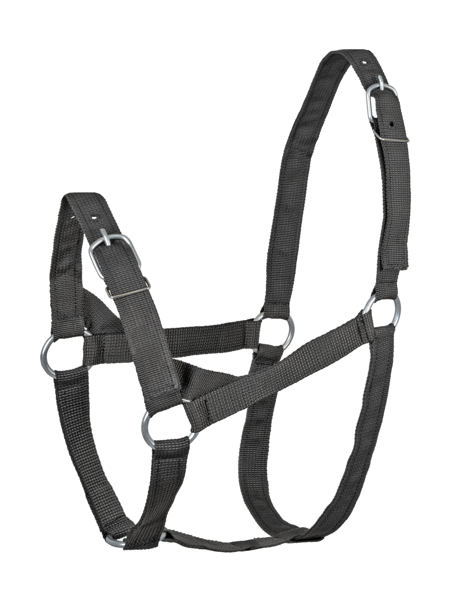 Недоуздок для лошадей двойной нейлон, недоуздок голубой размер Full REITER