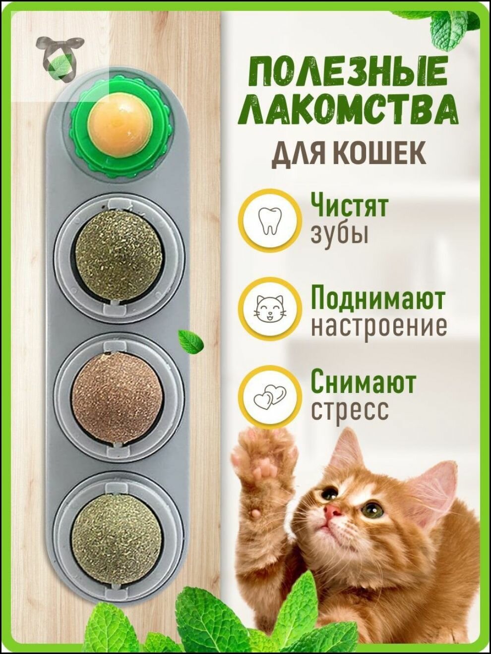 Эксклюзивный леденец с кошачьей мятой и настенный шарик для игр