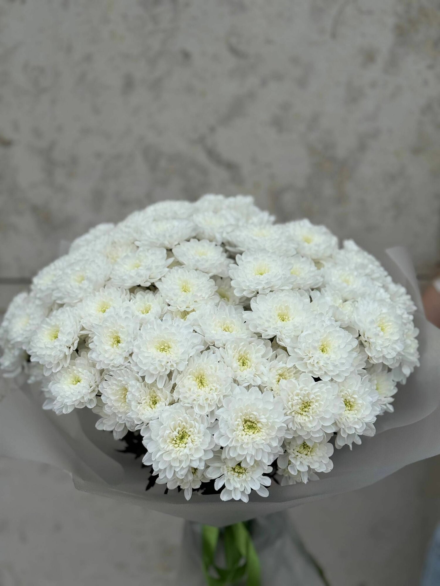 Букет цветов / Decoriflora / Монобукет из Кустовых Хризантем, цвет Белый, 13 шт — фото 1