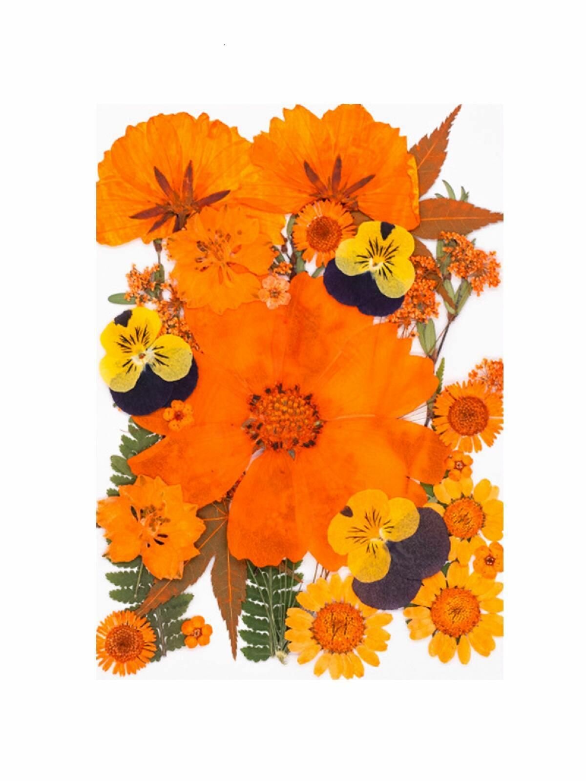 Стабилизированныецветы,1 упаковка из 30 штук, серия Xiaoxia, сухоцветы, материал для поделок, упаковка с тиснением "вечный цветок"-E type