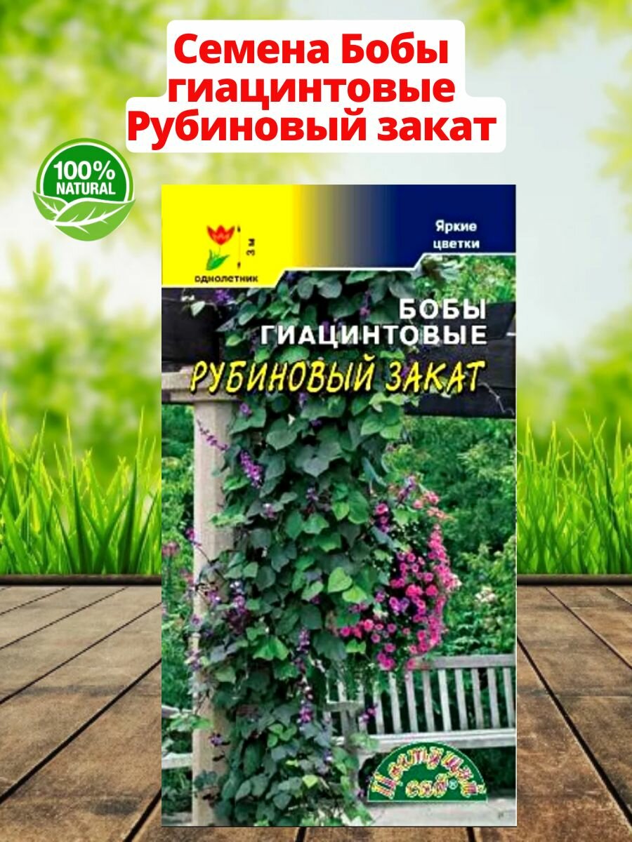 Семена Бобов гиацинтовых сорт Рубиновый закат