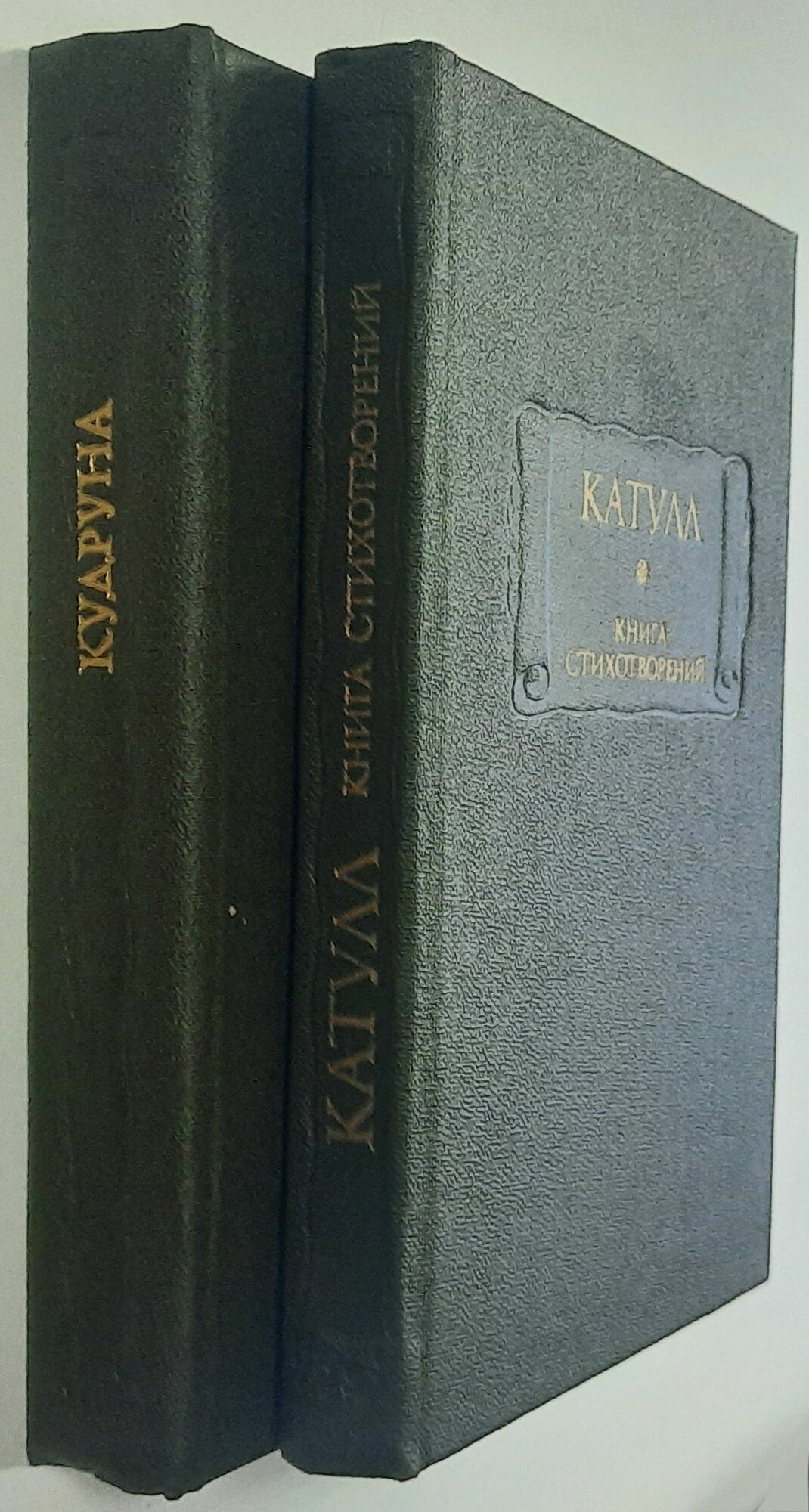 Книга стихотворений. Кудрина. (комплект из 2 книг)