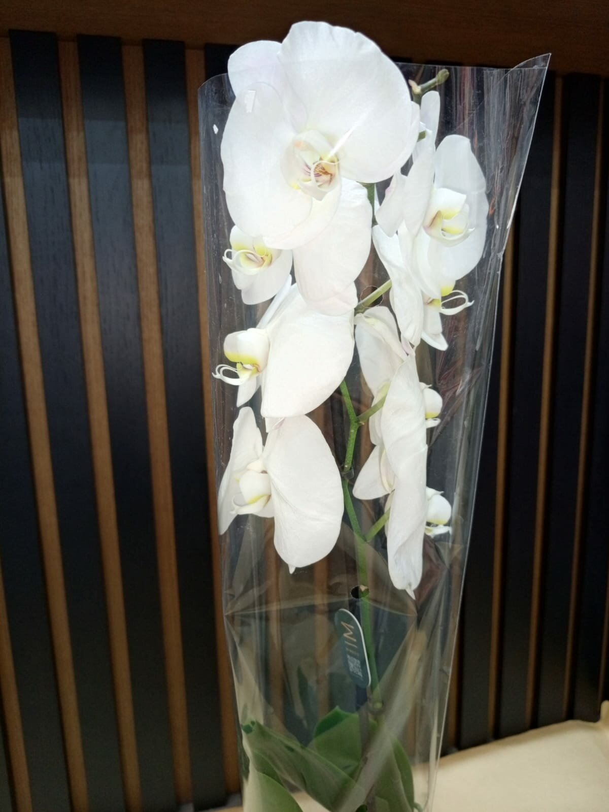 Орхидея "Фаленопсис" Цветочная Лавка, настольная, высота 60 см