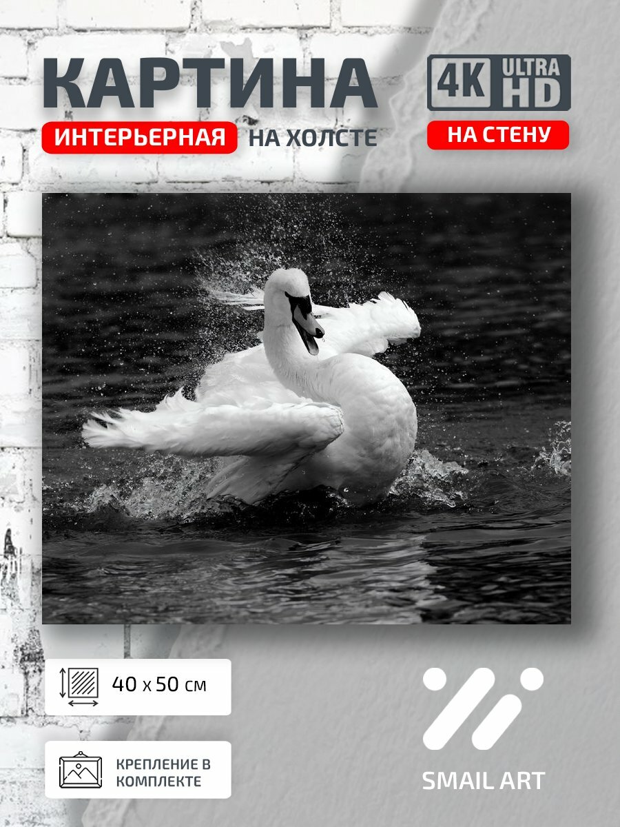 Картина на холсте интерьерная 40 на 50 на стену Лебедь Mood для кабинета атмосфера интерьер