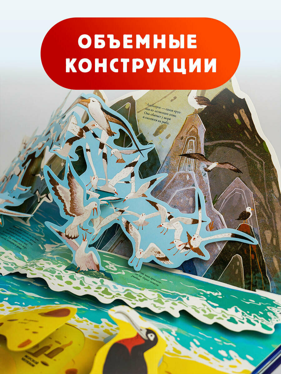 Энциклопедия для детей про морских обитателей "Подводный мир" книга от издательства АСТ — фото 1