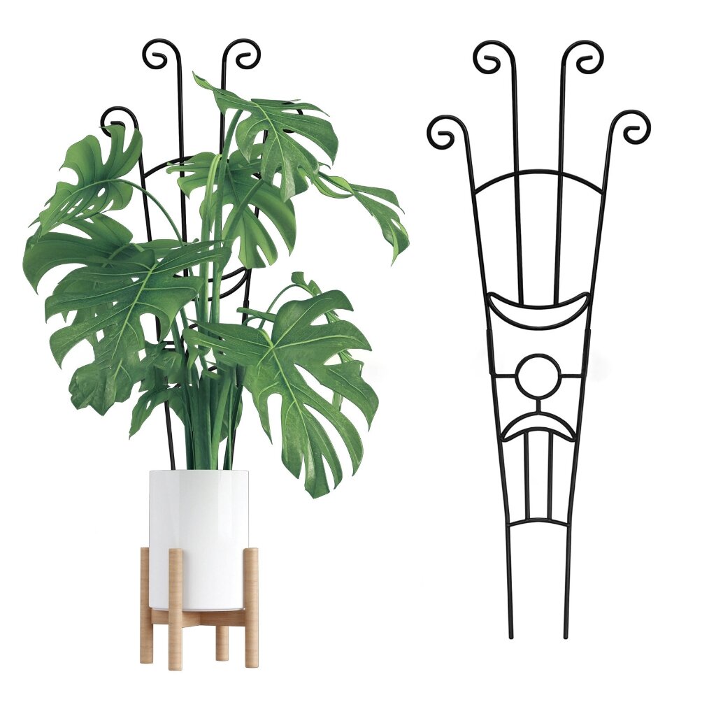 Двухкомпонентная рама для лазания по растениям-черная