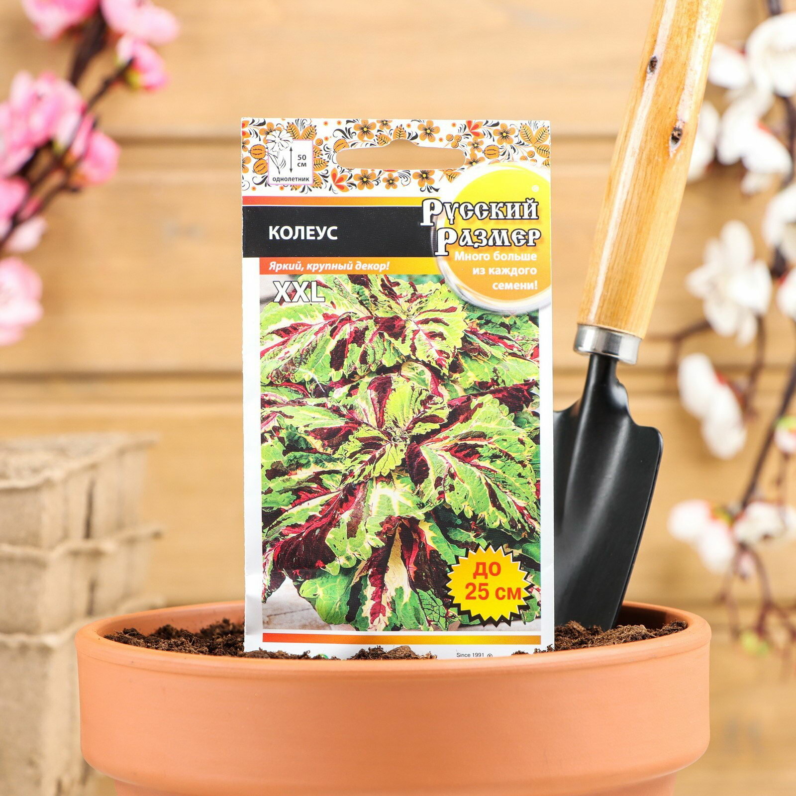 Семена цветов Колеус, серия Русский размер, 4 шт, по форме куста: ампельная