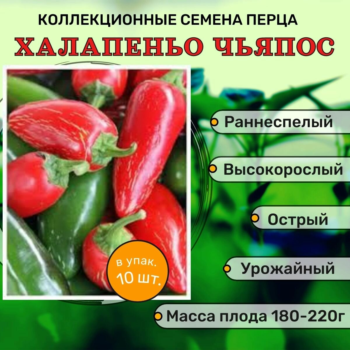 Коллекционные семена перца острого Халапеньо Чьяпос F1