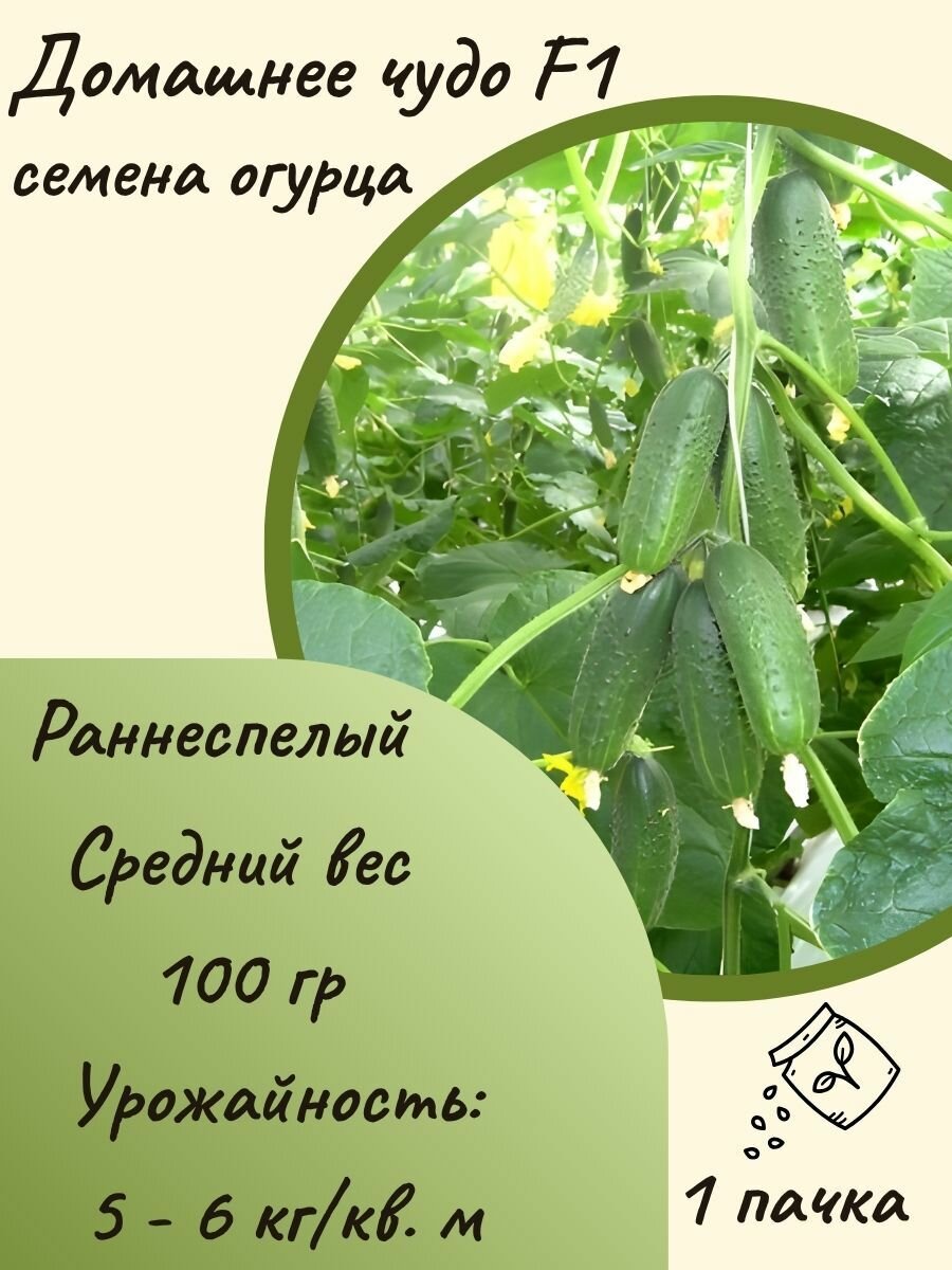 Семена огурца Доломит F1, 10 шт. семян