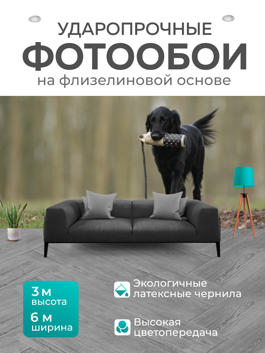 Фотообои моющиеся ударопрочные "Собака, прямошерстная ретривер, охота" 600x300 см. флизелиновые на стену