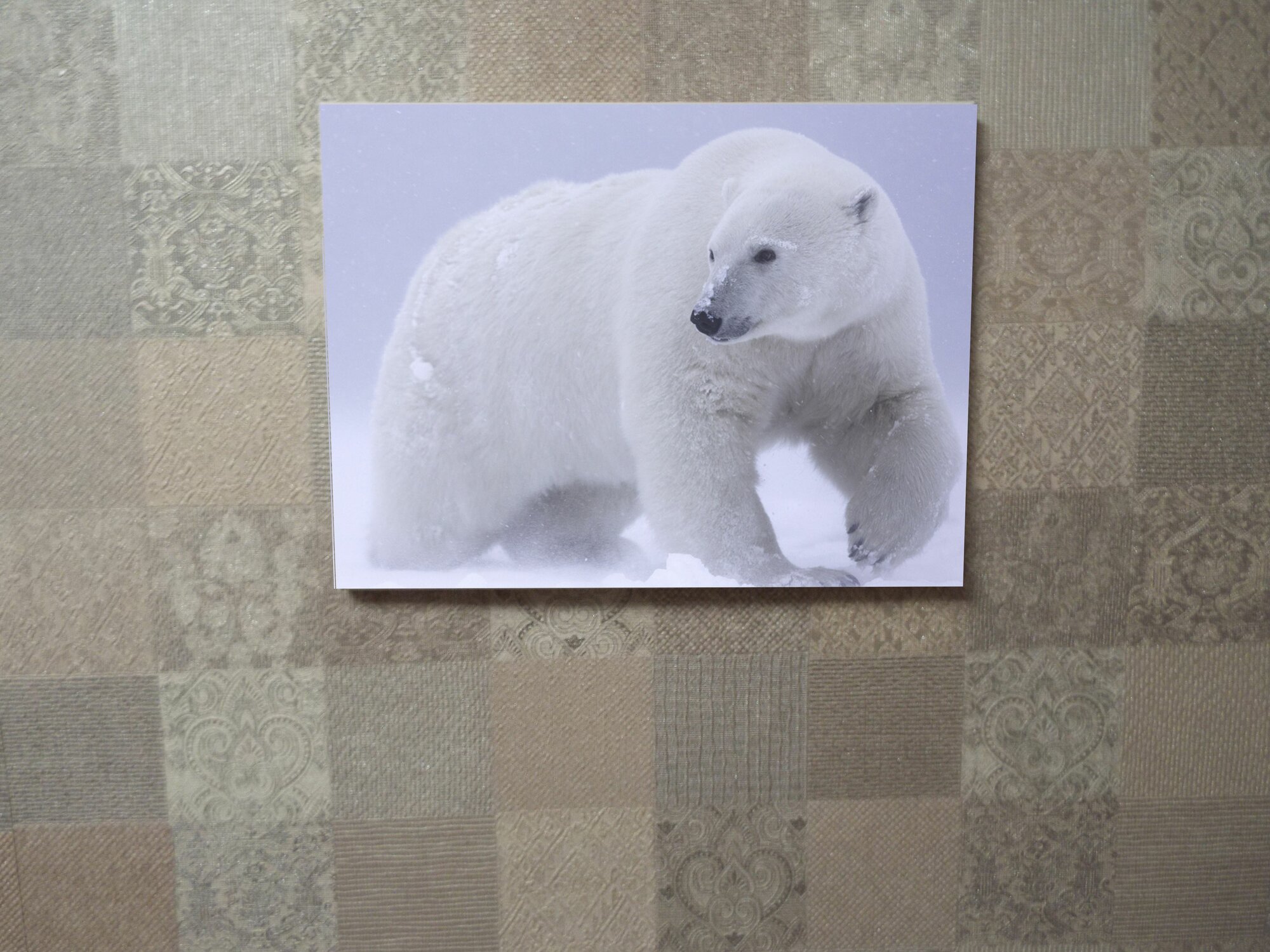 Картина на холсте. Дикие животные. Белый медведь. 40 х 30 см.