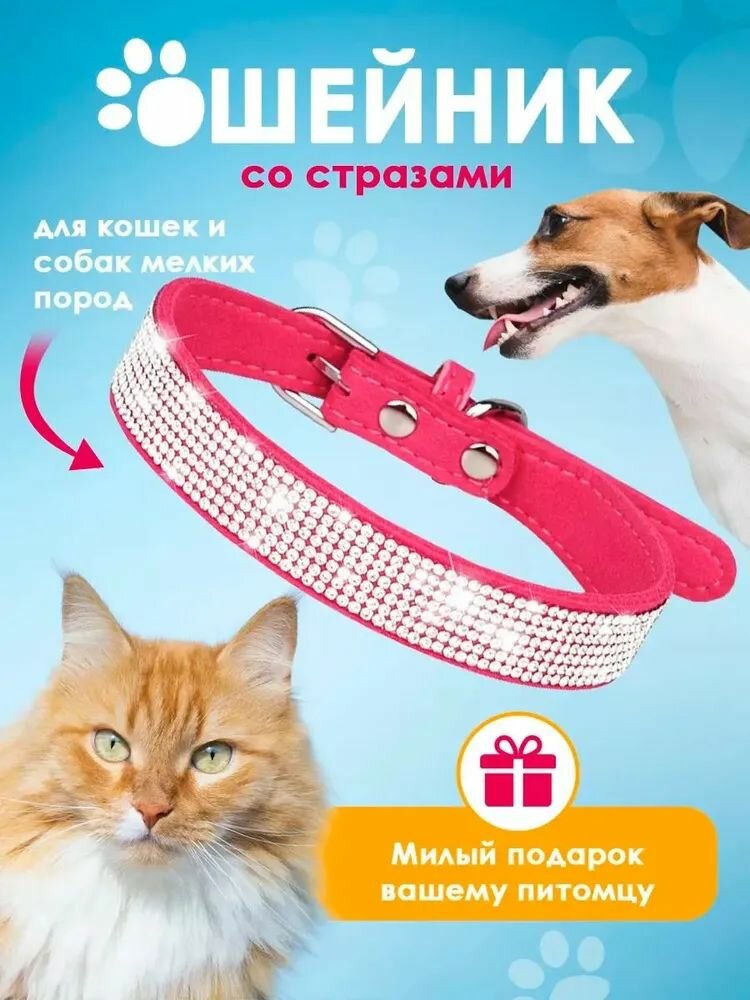 Ошейник со стразами для кошек и собак