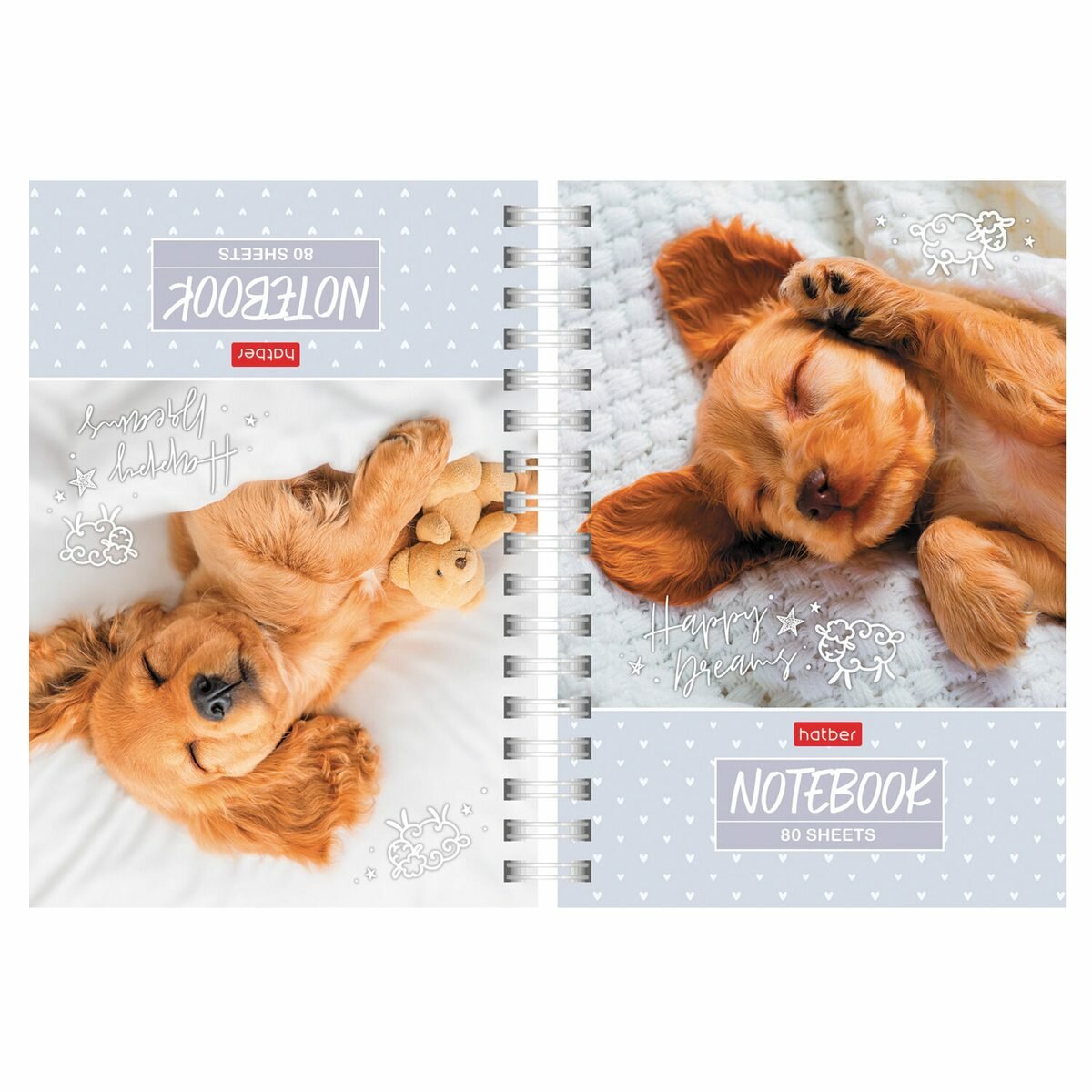 Блокнот 80л, А6 Hatber "Носики-курносики", клетка, спираль, твердый картон, 2 цвета (80ЗКтд6В1гр_301)