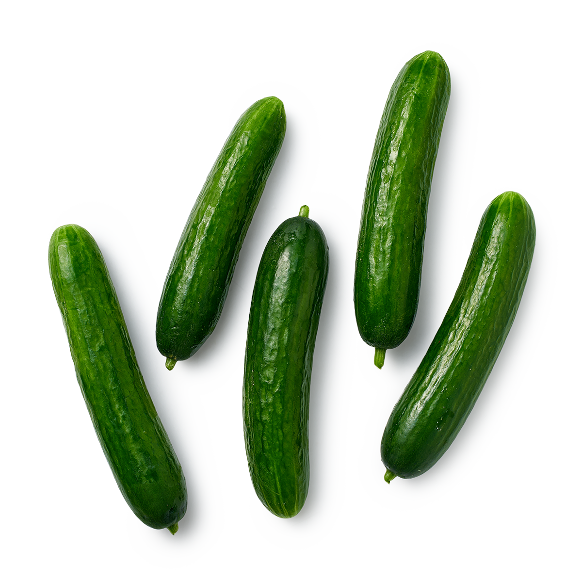 Огурцы Ботаника Премиум, гладкие, свежие, на подложке, 1 упаковка