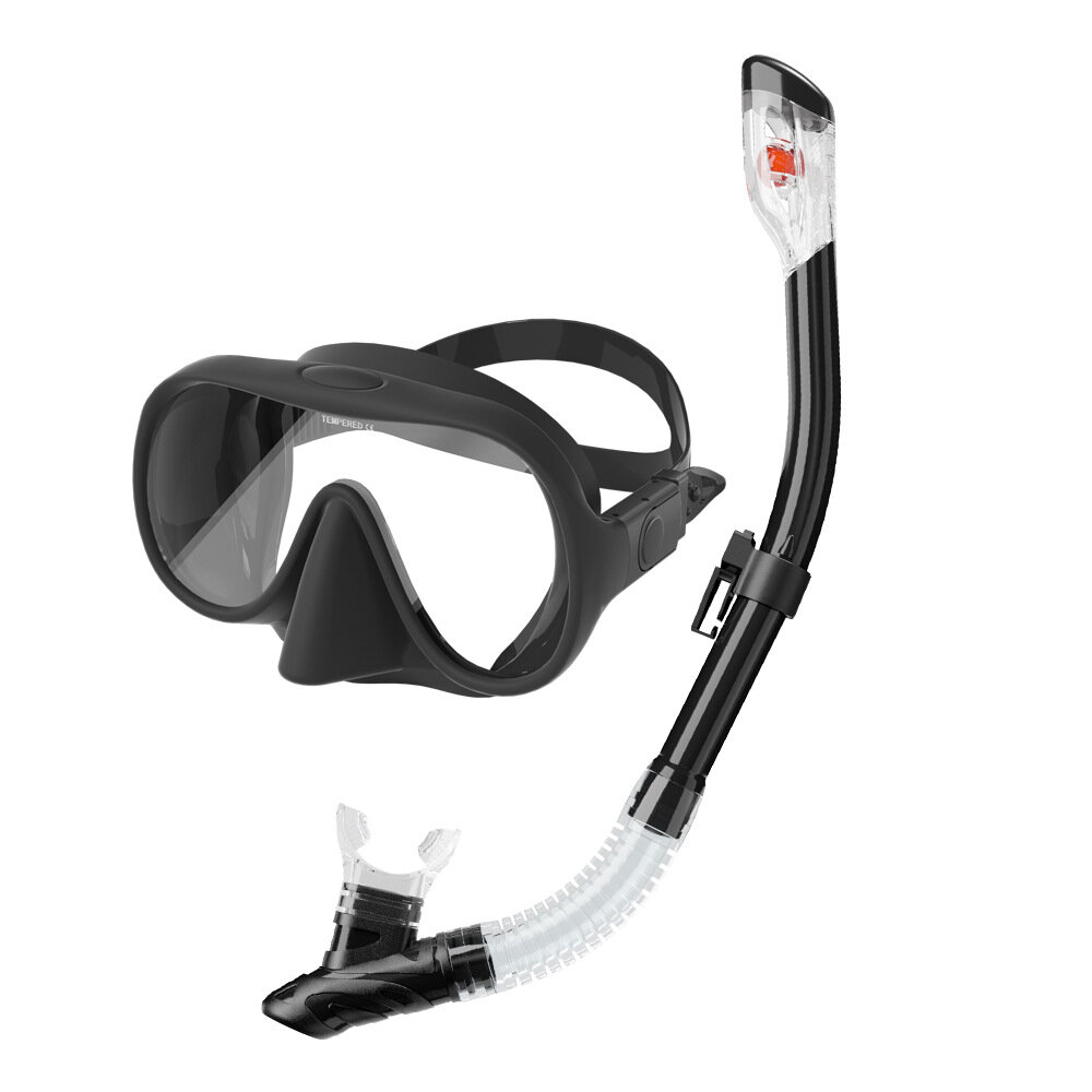 Набор для дайвинга и снорклинга Two Treasures, маска для дайвинга с антизапотевающим и антицарапающим покрытием, полностью сухой трубка для снорклинга