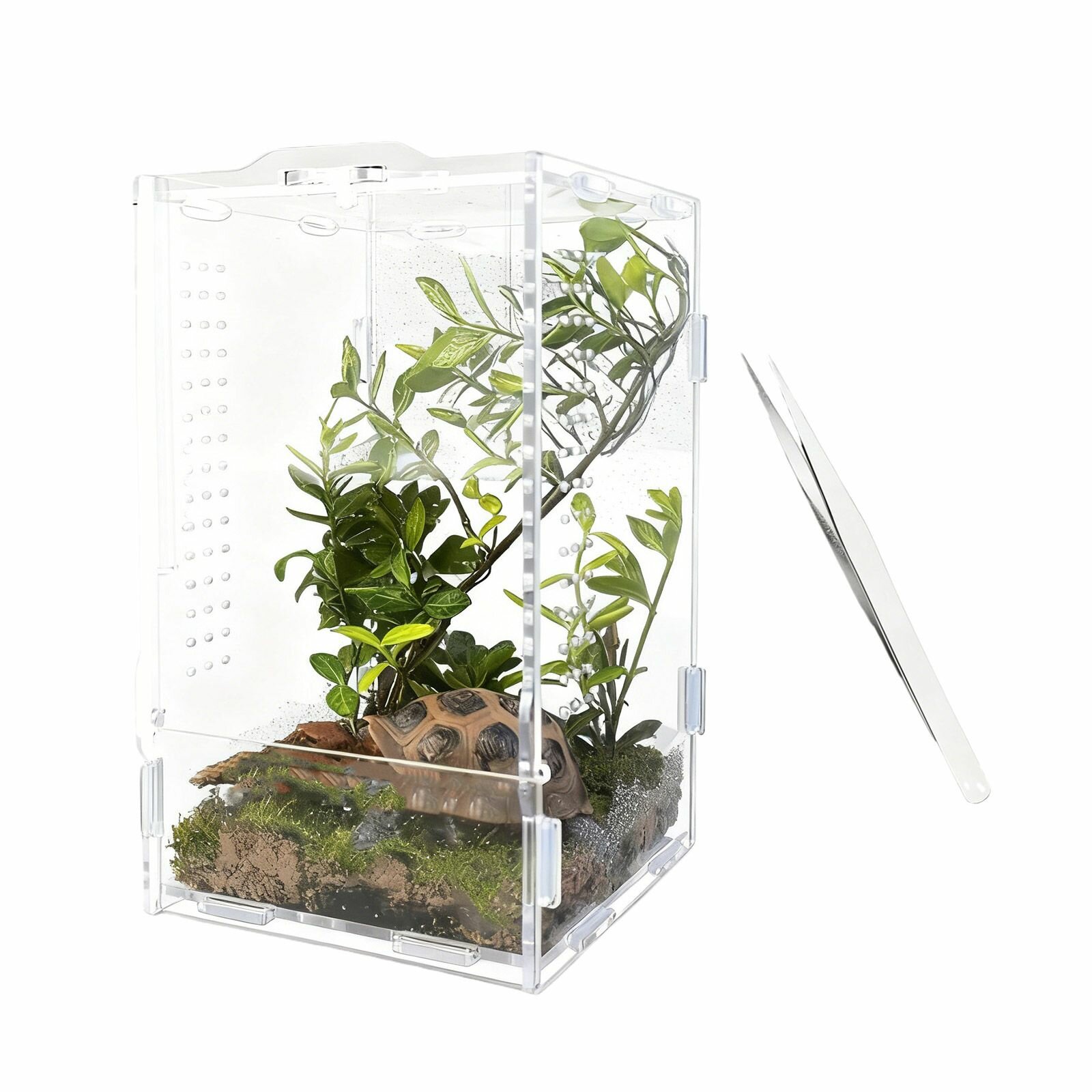 Прозрачный террариум для рептилий и насекомых