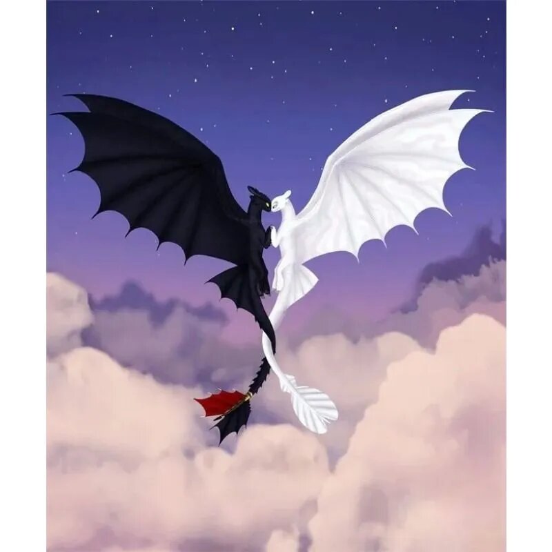 Алмазная Мозаика "Как Приручить Своего Дракона" 40х50 См Алмазная Вышивка / Картина Стразами Подарков / Украшения