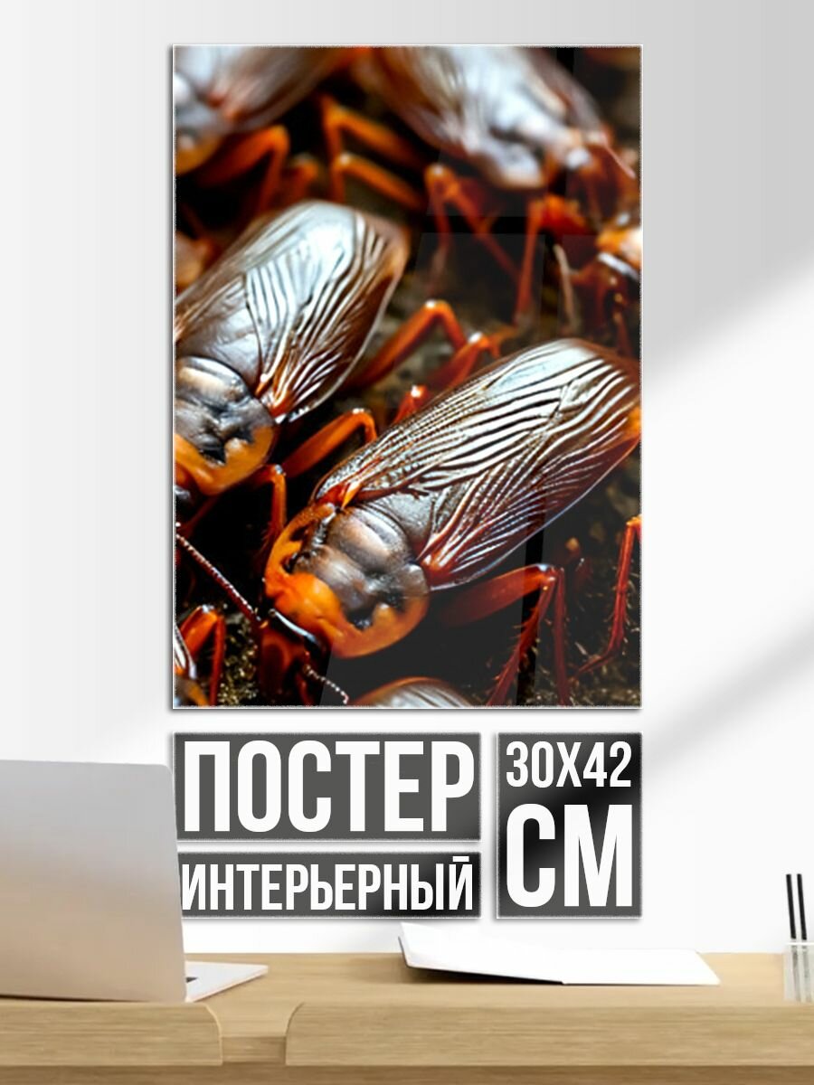 Постер на стену Свора тараканов