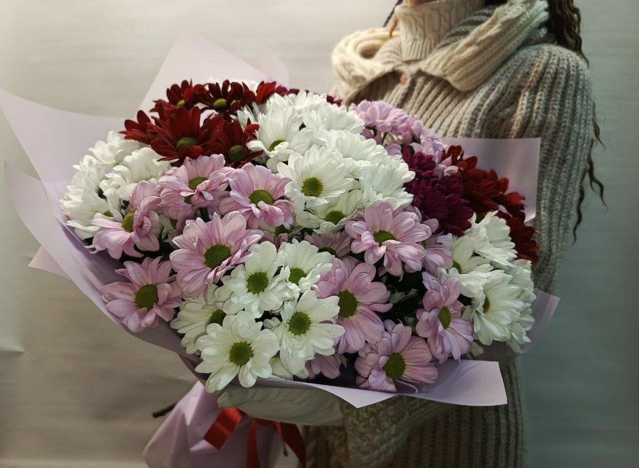 Букет / Decoriflora, Кустовая хризантема, цвет розовый, белый, красный, 13 шт