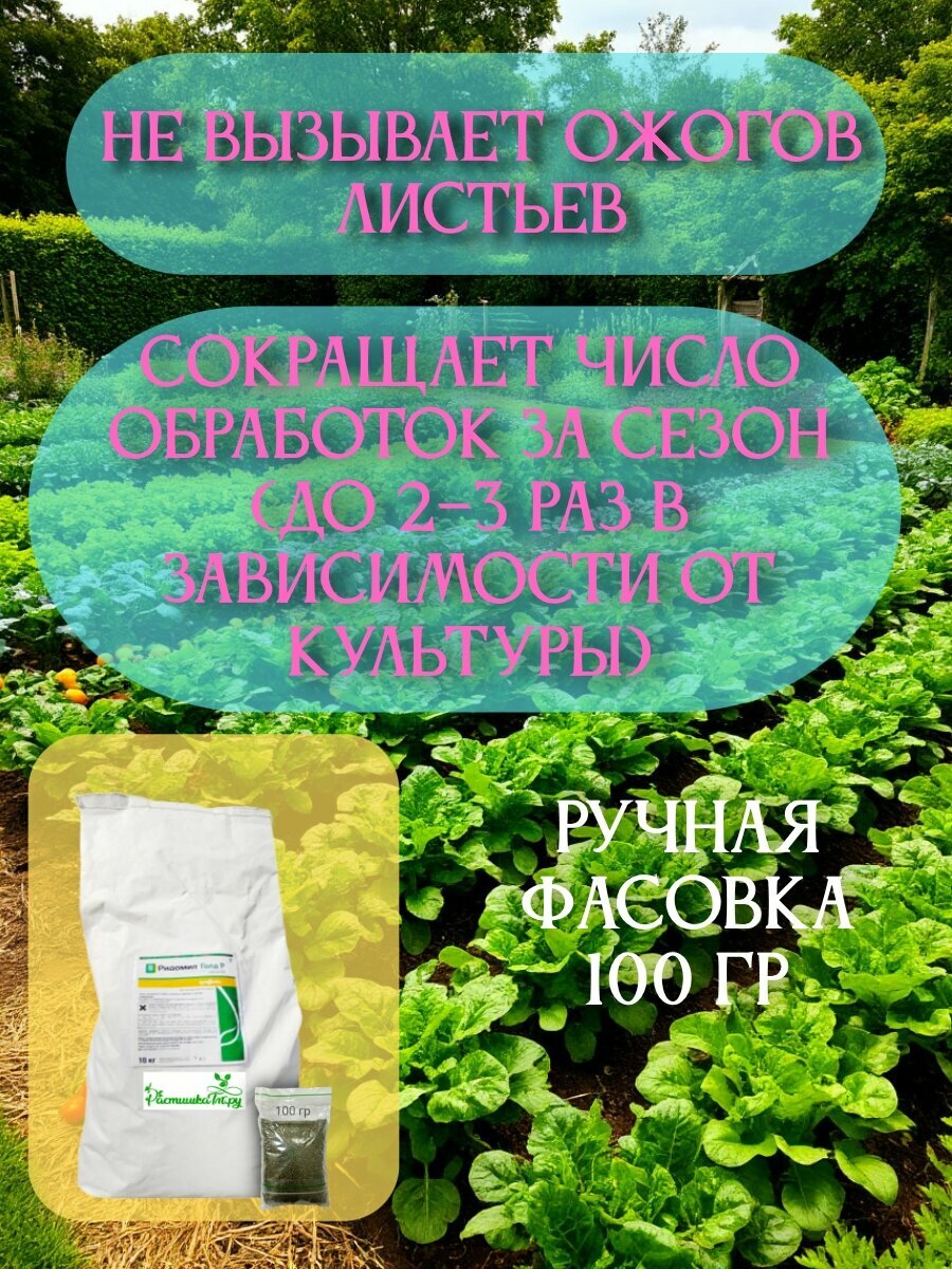 Фунгицид Syngenta "Ридомил Голд Р", От болезней растений, медьсодержащий, ручная фасовка 100 гр