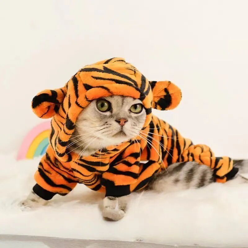 Одежда для животных — фото 1