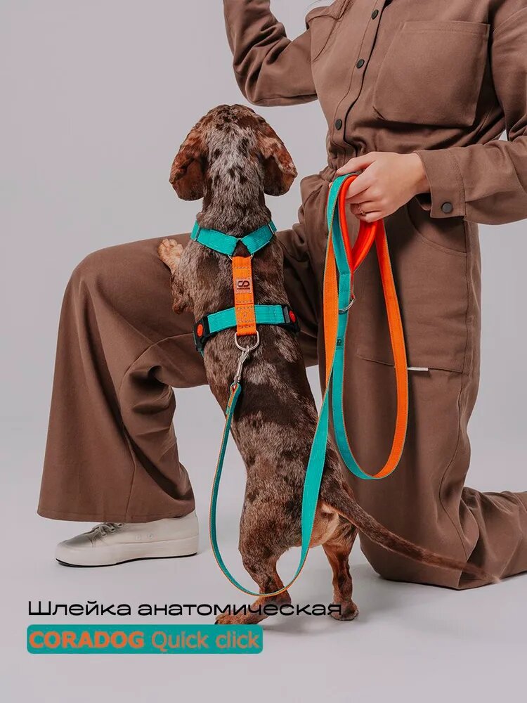 Шлейка прогулочная анатомическая для мелких пород собак и кошек, CORADOG Quick click, размер XXS, цвет бирюзовый, оранжевый