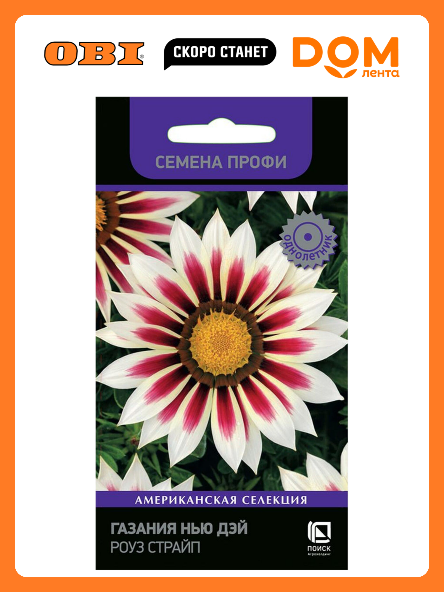 Семена Газании поиск Нью Дэй Роуз Страйп 10 шт