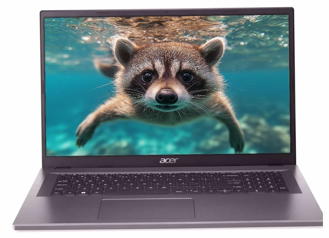 Ноутбук Acer Intel N-Series 3,4ГГц 4 ядер. 17,3' 1920x1080 Intel UHD Graphics Xe 24EUs Windows 11 Pro Русская раскладка